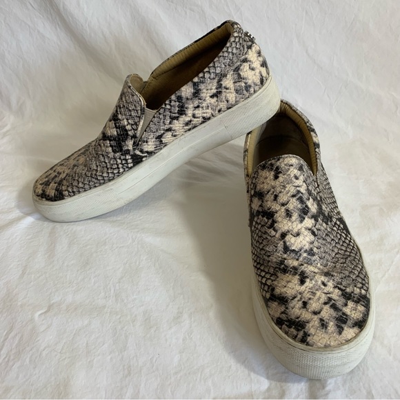 Steve Madden | Shoes | Steve Madden Gills Sneakers Black And White ...